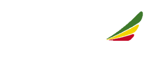 Comingsoon – COECSA 2025 Congress